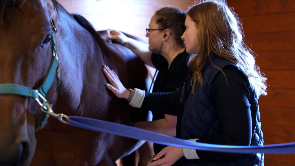 Veterinary Technician Program | YTI Career Institute | AVMA-CVTEA ...